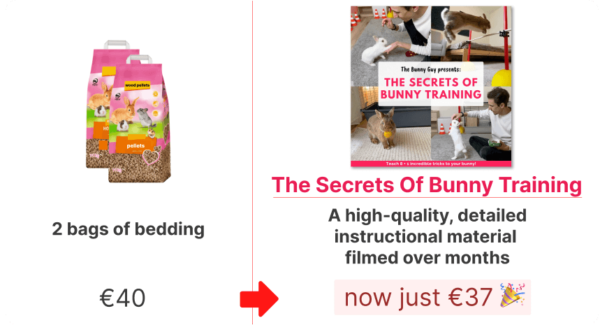 Bunny Training - Teach your Bunny to do AMAZING tricks 😍🐰