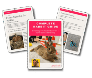 Bunny Training - Teach your Bunny to do AMAZING tricks 😍🐰